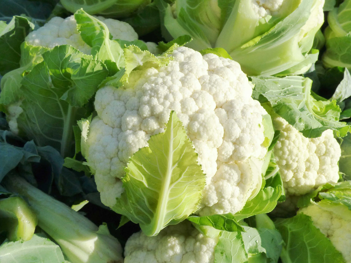 A22 - Cavolfiore Sardegna 1 Kg – CasaOrtofrutta
